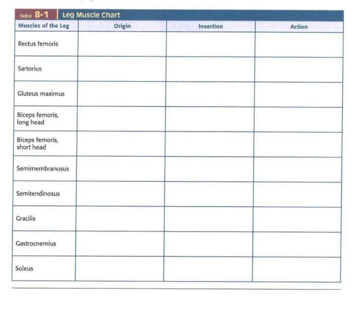 Solved TABLE 8-1 Leg Muscle Chart Muscles of the Leg Origin | Chegg.com