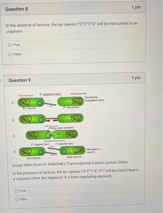 Solved Question 7 1 pts Regarding the lac operon, match the | Chegg.com