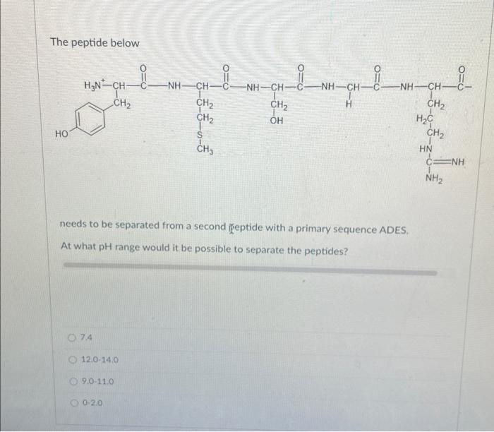 Solved The peptide below needs to be separated from a second | Chegg.com