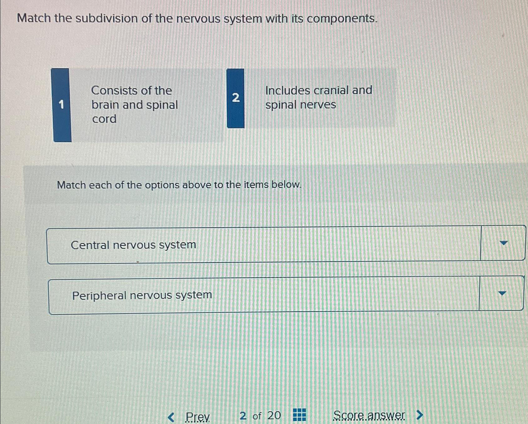 Solved Match the subdivision of the nervous system with its | Chegg.com