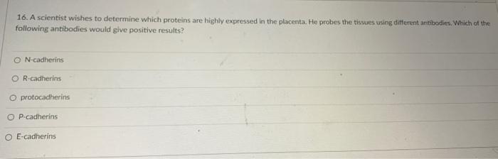 Solved 8. Which of the following is the outermost layer | Chegg.com