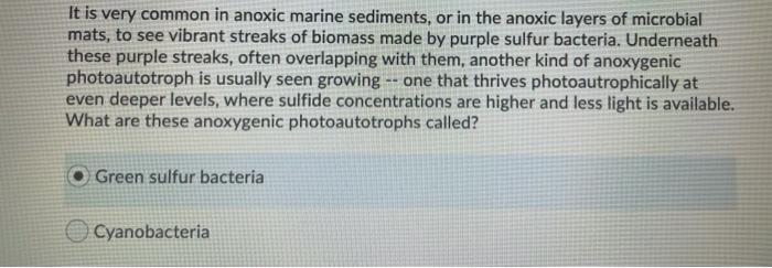 Solved It is very common in anoxic marine sediments, or in | Chegg.com