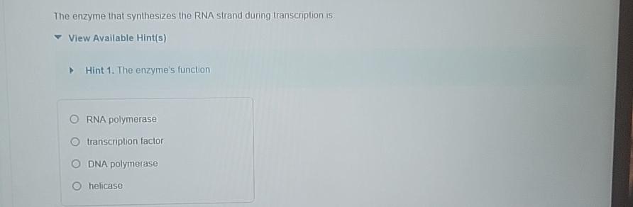 Solved The enzyme that synthesizes the RNA strand during | Chegg.com