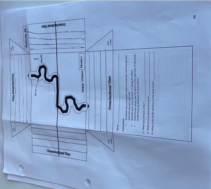 Solved Cross-Sectional View fold under fold under Name: | Chegg.com