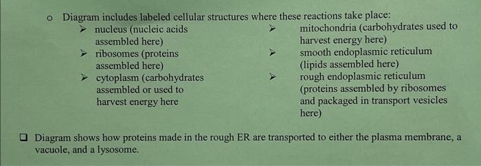Solved Using Monomers to Build Polymers A drawing of an | Chegg.com