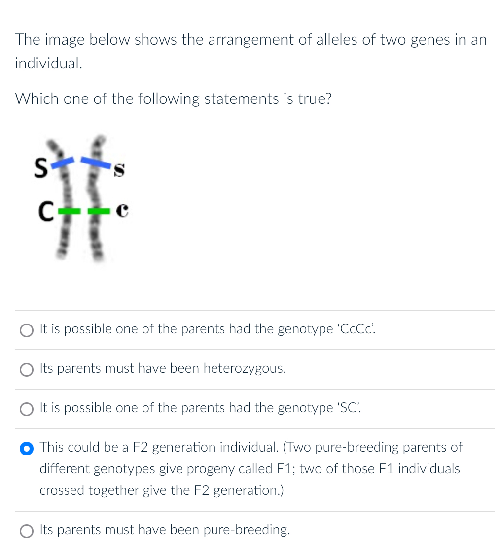 Solved The image below shows the arrangement of alleles of | Chegg.com
