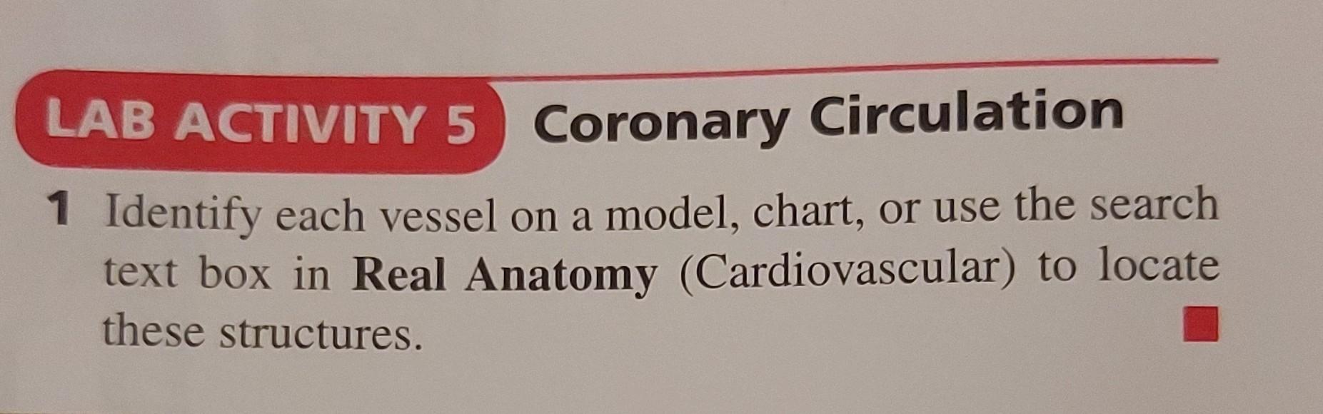 Solved 1 Identify each vessel on a model, chart, or use the | Chegg.com