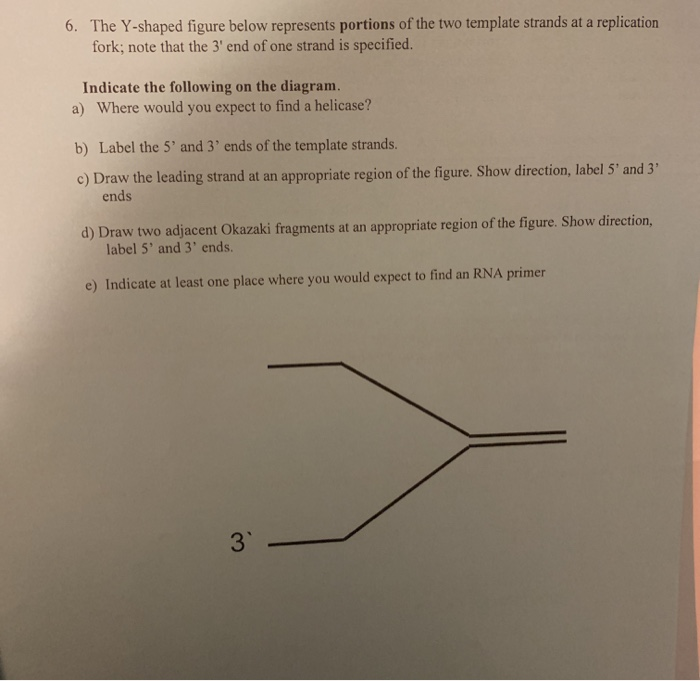 Solved 6. The Y-shaped figure below represents portions of | Chegg.com