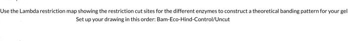 Use the Lambda restriction map showing the | Chegg.com