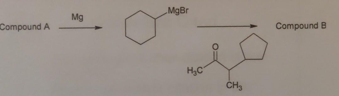 Solved MgBr Mg Compound A Compound B H₃ C' CH3 | Chegg.com