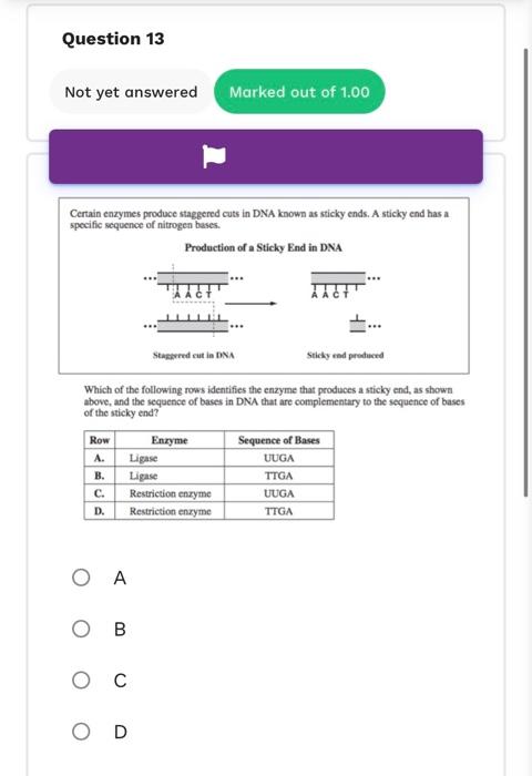 Solved Certain enzymes produce staggered cuts in DNA known | Chegg.com