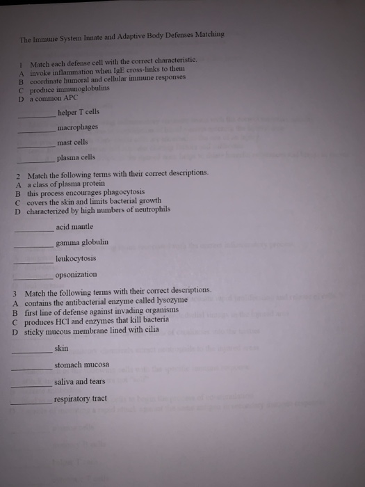 Solved The Immune System Innate and Adaptive Body Defenses | Chegg.com