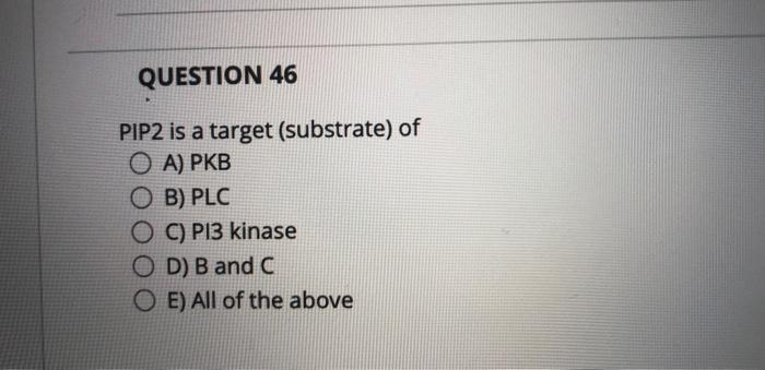 Solved QUESTION 46 PIP2 is a target (substrate) of O A) PKB | Chegg.com