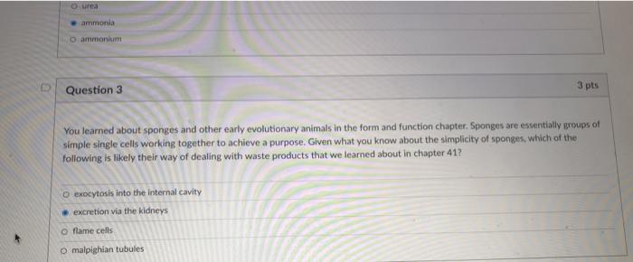 Solved Question 5 3 pts Which of the following is not an | Chegg.com