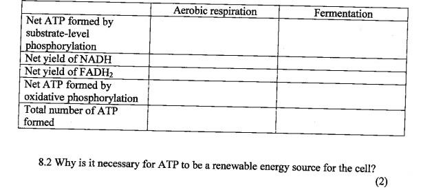 Solved Aerobic respiration Fermentation Net ATP formed by | Chegg.com