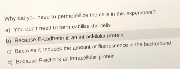Solved Why did you need to permeabilize the cells in this | Chegg.com