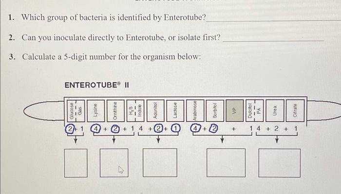 Solved 1. Which group of bacteria is identified by | Chegg.com