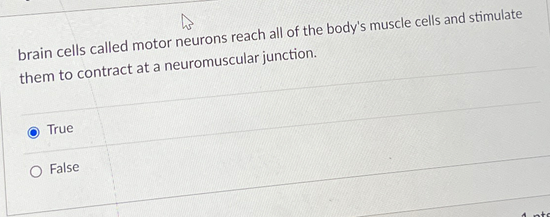 Solved brain cells called motor neurons reach all of the | Chegg.com