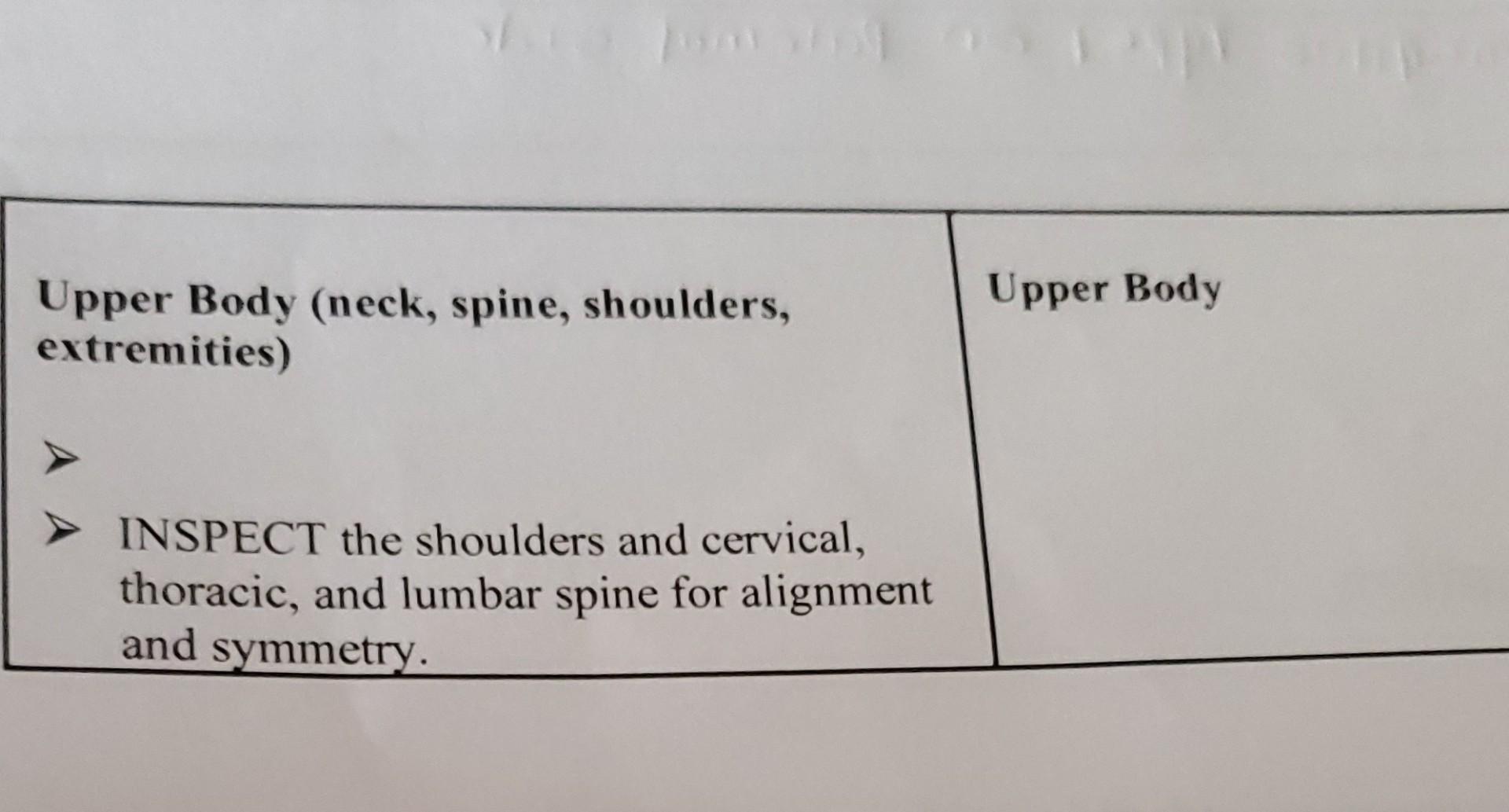 Solved Upper Body (neck, spine, shoulders, Upper Body | Chegg.com