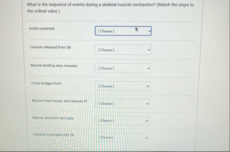 Solved What is the sequence of events during a skeletal | Chegg.com