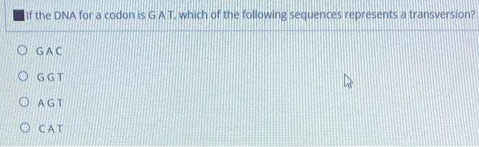 Solved if the DNA for a codon is GAT, which of the following | Chegg.com