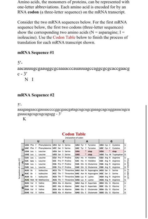 Solved 1st position of codon (5') | Chegg.com