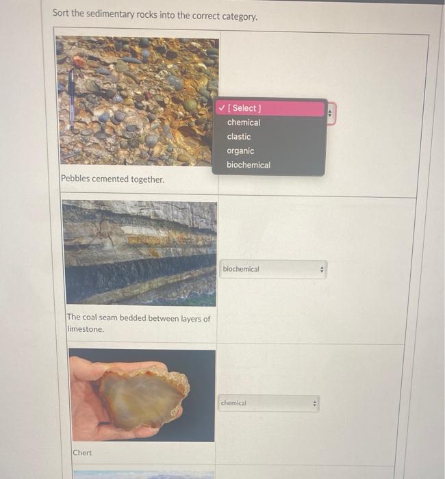 Solved Sort the sedimentary rocks into the correct category. | Chegg.com