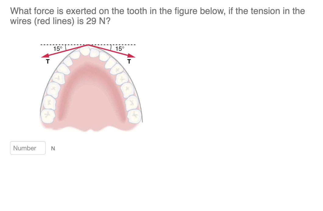 Solved What force is exerted on the tooth in the figure | Chegg.com