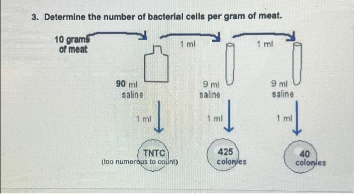 Solved 3. Determine the number of bacterial cells per gram | Chegg.com