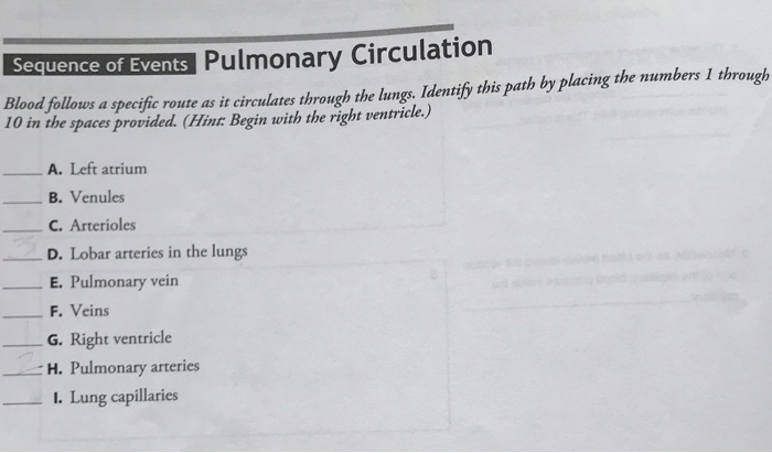 Solved Sequence of Events Pulmonary Circulation a follows a | Chegg.com