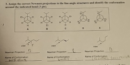 Solved Assign the correct Newman projections to the | Chegg.com