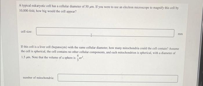 Solved A typical cukaryotic cell has a cellular diameter of | Chegg.com