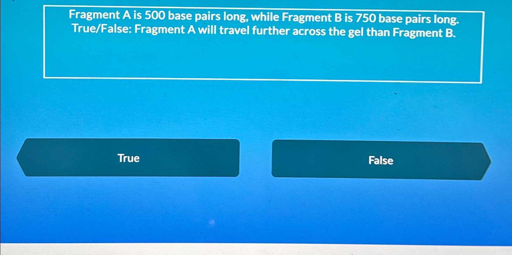 Fragment A ﻿is 500 ﻿base pairs long, while Fragment B | Chegg.com