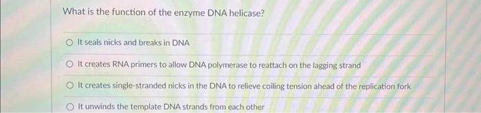 Solved What is the function of the enzyme DNA helicase? It | Chegg.com