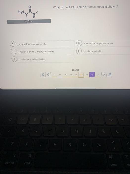 Solved What is the IUPAC name of the compound shown? H2N a | Chegg.com