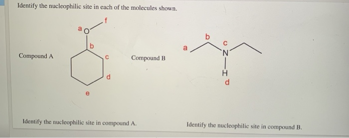 Solved Identify the nucleophilic site in each of the | Chegg.com