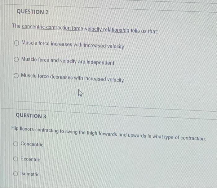 Solved QUESTION 2 The concentric contraction force-velocity | Chegg.com