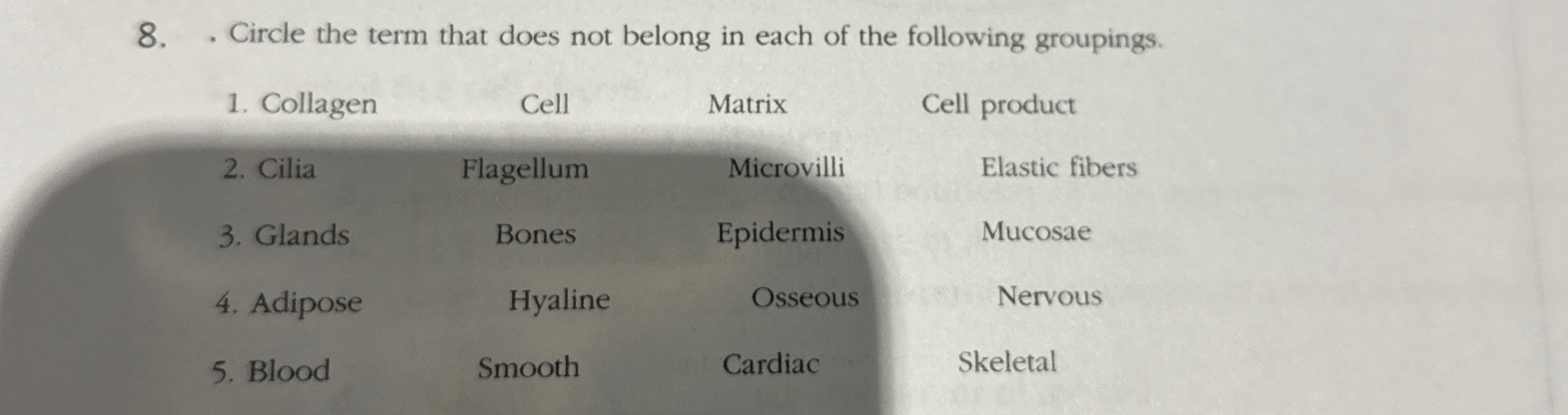 Solved Circle the term that does not belong in each of the | Chegg.com