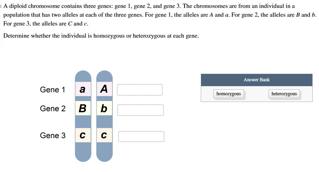 A diploid chromosome contains three genes: gene 1 , | Chegg.com
