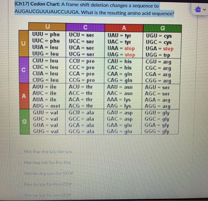 Solved (Ch17) Codon Chart: A frame shift deletion changes a | Chegg.com