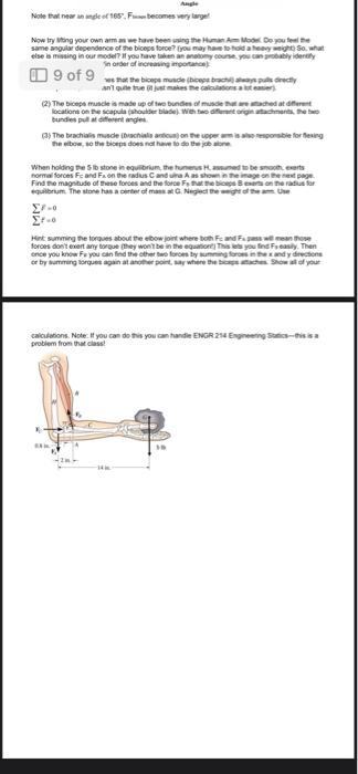 PHYS 114 Torque and the Human Arm Lab Lat-specific | Chegg.com