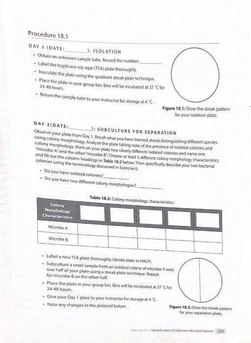 Solved Quadrant Streak Results (Day 2) A В. Separation | Chegg.com