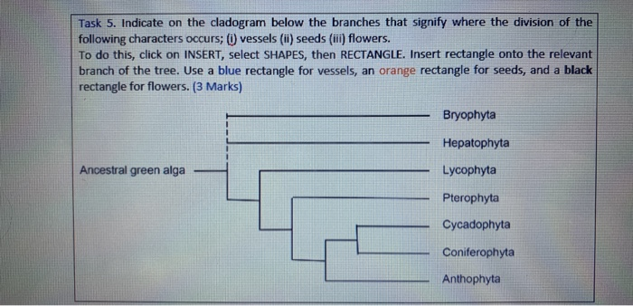 Solved Task 5. Indicate on the cladogram below the branches | Chegg.com