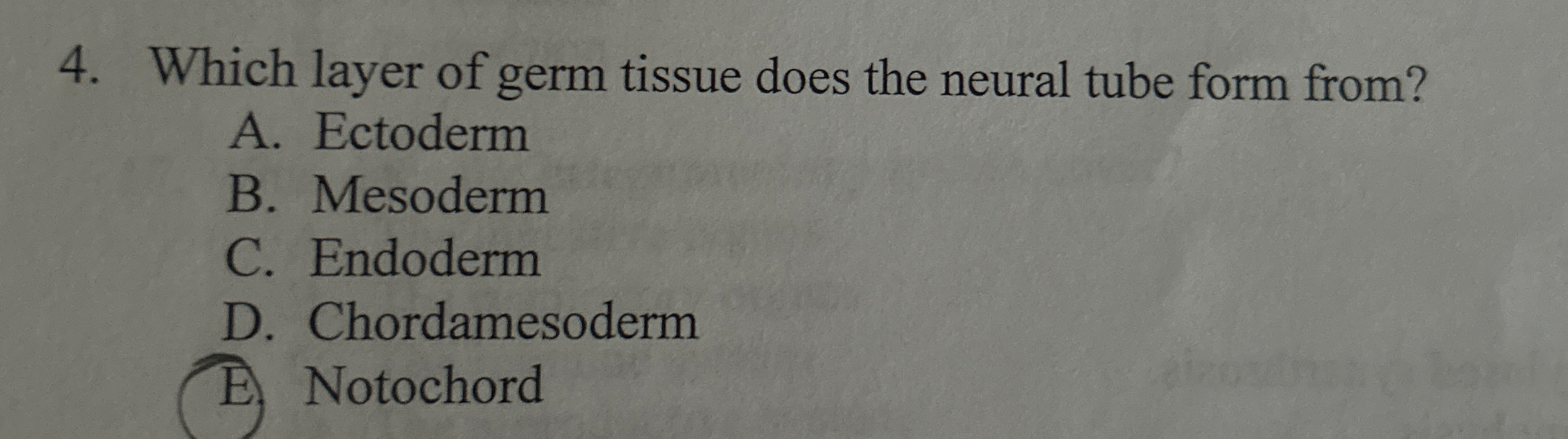 Solved Which layer of germ tissue does the neural tube form | Chegg.com