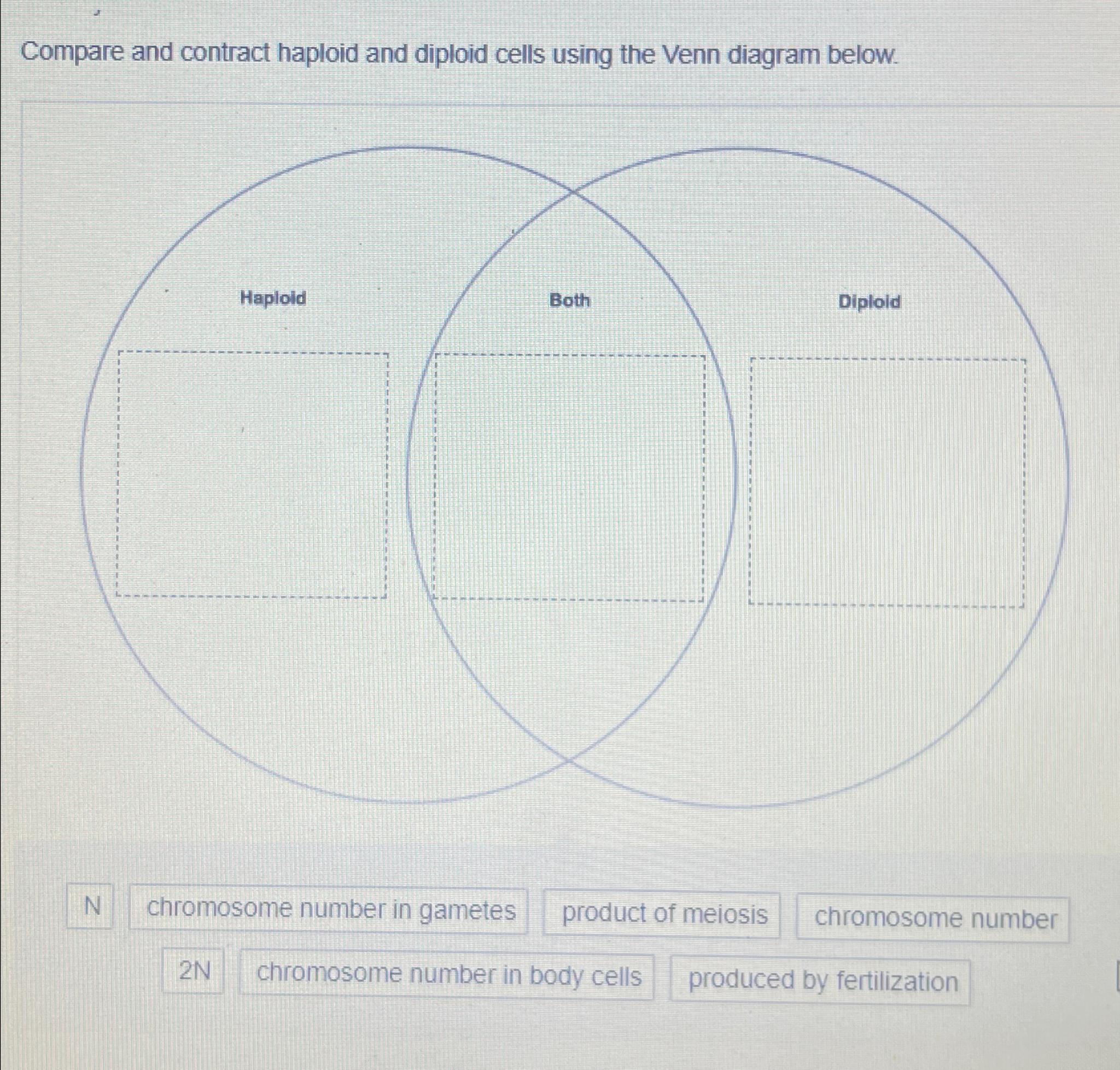 Solved Compare and contract haploid and diploid cells using | Chegg.com