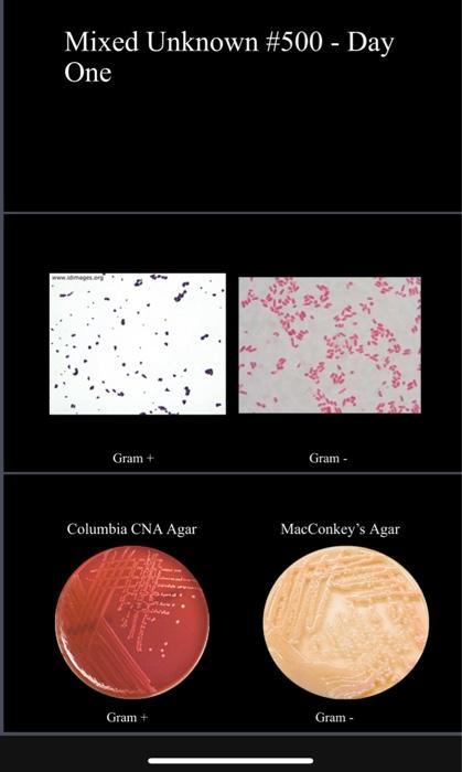 Solved Mixed Unknown #500 - Day OneMIXED UNKNOWN | Chegg.com