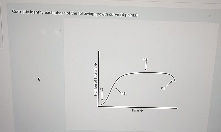 Solved Correctly identify each phase of the following growth | Chegg.com