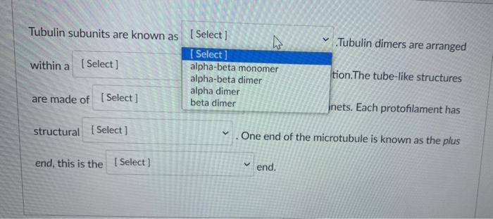 Solved Tubulin subunits are known as Tubulin dimers are | Chegg.com