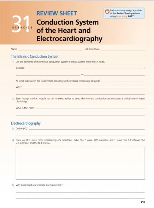 Solved REVIEW SHEET Instructors may assign a portion of the | Chegg.com