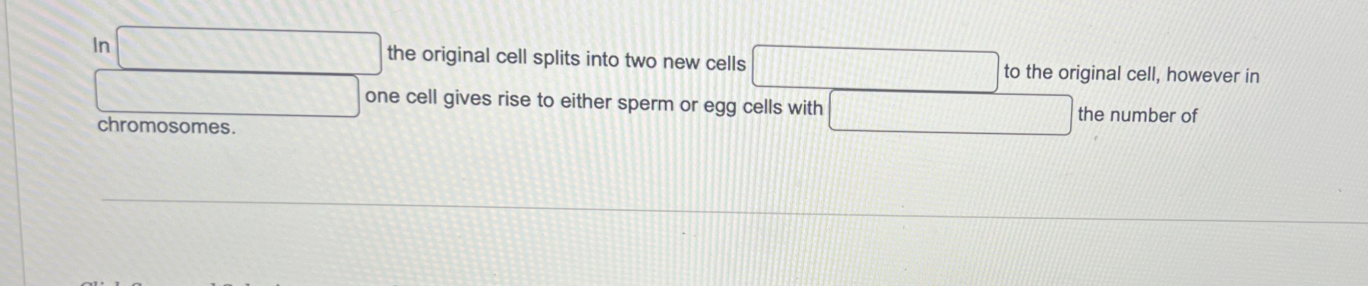 Solved In ___ ﻿the original cell splits into two new cells | Chegg.com